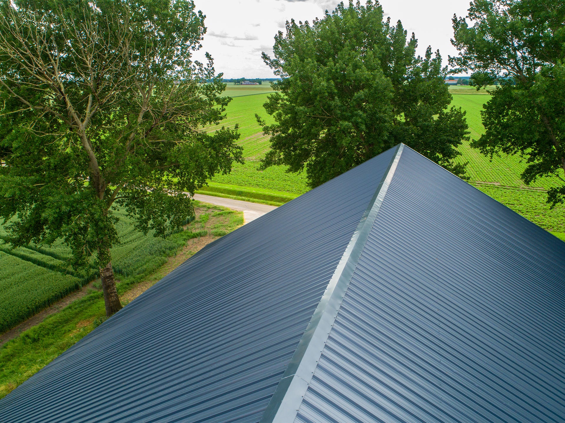 Barrières, treillis, tôles, clôtures, portails coulissants et panneaux ...